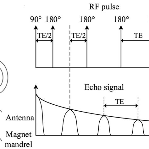 Cpmg Pulse Sequence And Spin Echo Train Download Scientific Diagram