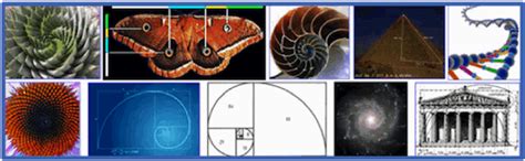 Fascinating Fibonacci Explained