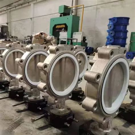 Dn50 Dn600 Pn10pn16ansi 125lb 150lb Wafer Butterfly Valve With Di Ci