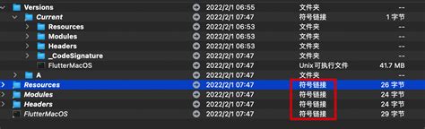 MacOS Target Debug Unpack Macos Failed Exception Binary