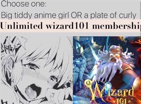 Choose One Big Tiddy Anime Girl Or A Plate Of Curiy Inlimited Wizard 101 Membershil