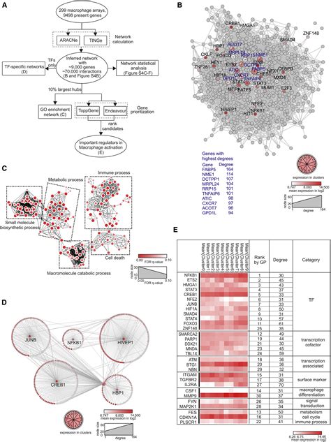 Transcriptome Based Network Analysis Reveals A Spectrum Model Of Human Macrophage Activation
