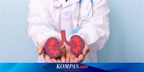 Perbedaan Kanker Ginjal Dan Kista Ginjal Yang Perlu Diketahui