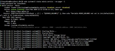 How To Install Minio Server On Almalinux 9 Or Rocky Linux Linuxshout