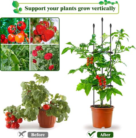 Adjustable 4ft Tomato Plant Support Trellis For Garden Pots Flowers