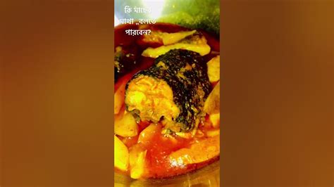 নিজে রান্না করলাম জাতীয় মাছ পাঙ্গাস। মাছ রান্না পাঙ্গাস রান্নাব্লগভিডিও ফরইউ মাছের ভিডিও