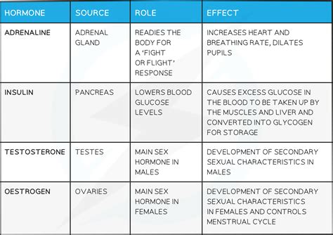 Hormones In Humans Cie Igcse Biology Revision Notes 2023