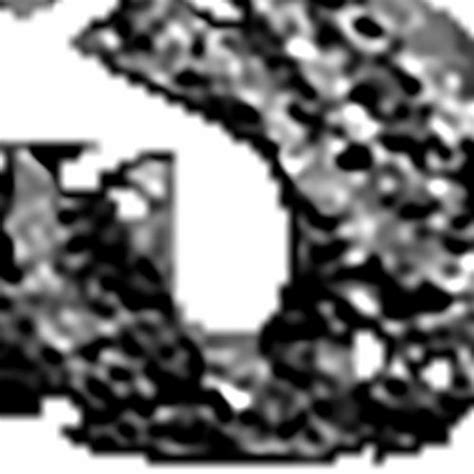 Stream Jack Paddon Music Listen To Songs Albums Playlists For Free