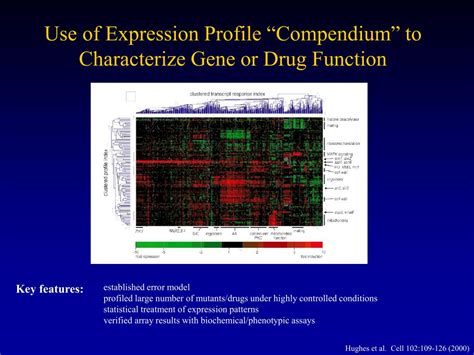 Ppt Introduction To Dna Microarrays Functional Mining Of Array Patterns Powerpoint