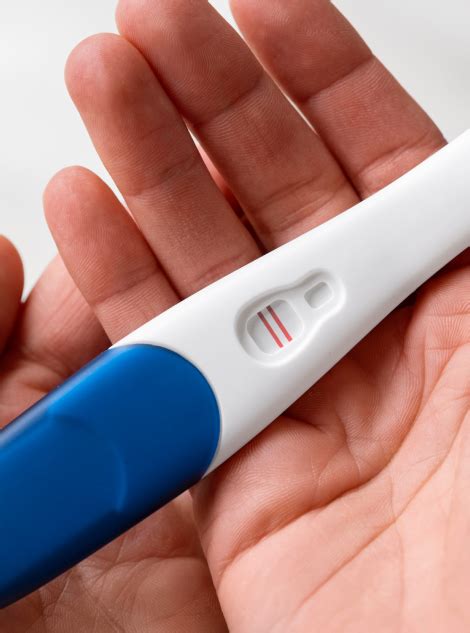 Functional Medicine For Fertility Road To Fertility