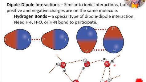 Intermolecular Interactions Intermolecular Interactions In Functional