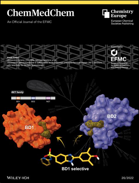 Microfluidics‐based Urine Biopsy For Cancer Diagnosis Recent Advances And Future Trends Wang