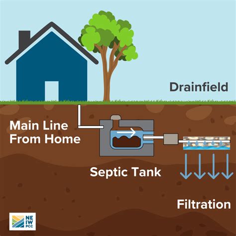 Septic System Diagram The Importance Of Septic Systems Managing