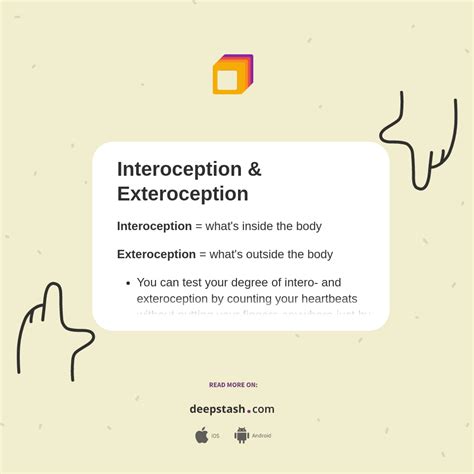 Interoception And Exteroception Deepstash