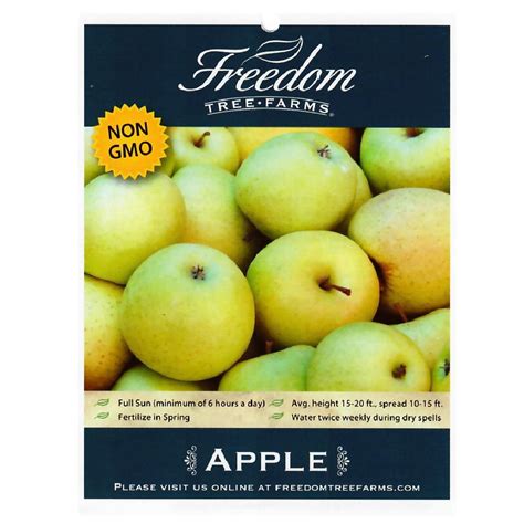 Freedom Tree Farms Columnar Golden Treat™ Apple 5 Gallon Rural King
