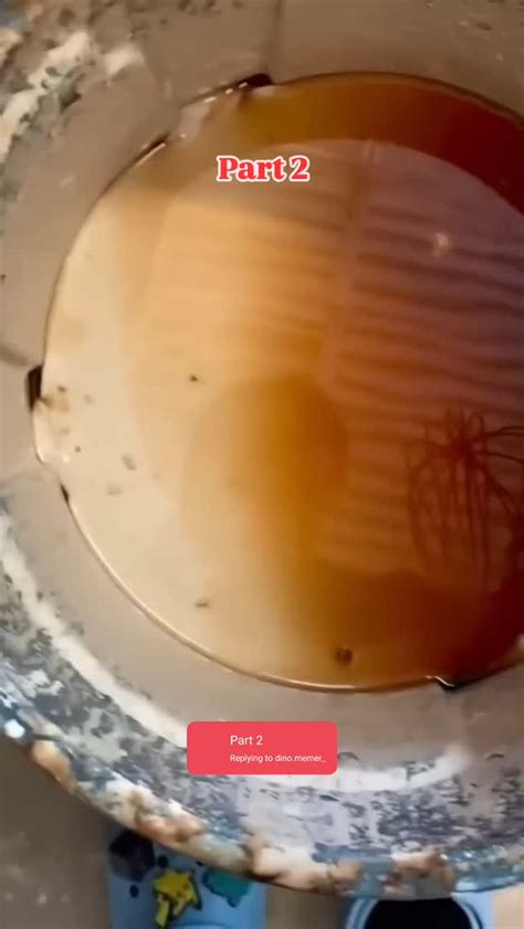 Redditor Part 10 Am I The Asshole For Refusing To Take My Ex Wife Back After She Left Me