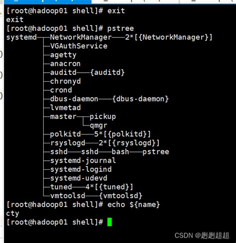 shell编程中的局部变量、环境变量与特殊意义符号 csdn博客