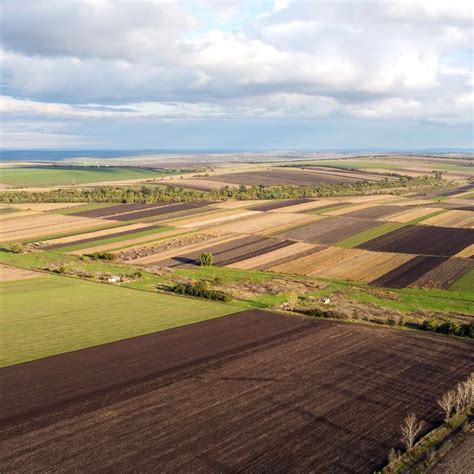 Сельхоз мониторинг