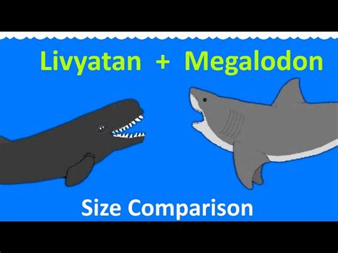 Leviathan Megalodon