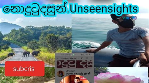 බලන්නකො මල් පොකුරත් අරන් උදෙන්ම එන්නෙ කවුද කියලා කන් සුද්දා තමයි මේ Youtube