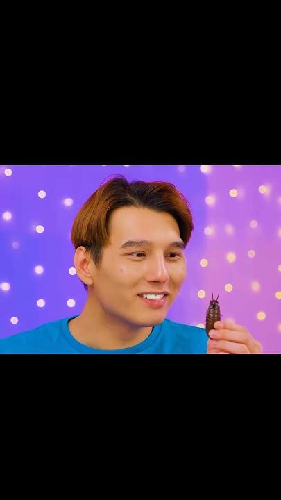 Insecto De Chocolate Youtube