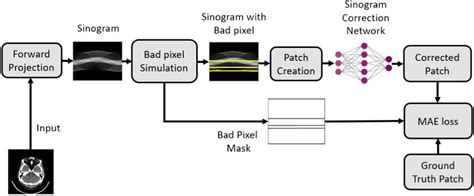 Lpp Correction Training Framework Download Scientific Diagram