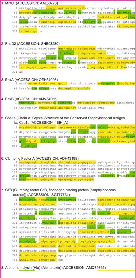 Figure 2 From In Silico Identiﬁcation Of The B Cell And T Cell Epitopes
