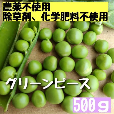 【収穫出来次第発送】農薬不使用 化学肥料、除草剤不使用 グリーンピース えんどう By メルカリ