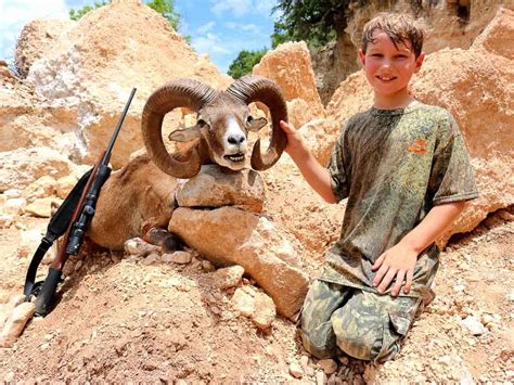 Mouflon Sheep Hunting 18000 Acres In Texas 60 Species Ox Ranch