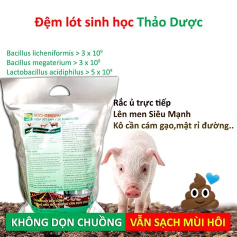 Top 60 Về Mô Hình Nuôi Heo Sinh Học Vn