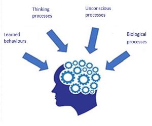 Psychology Bishop Wordsworths School