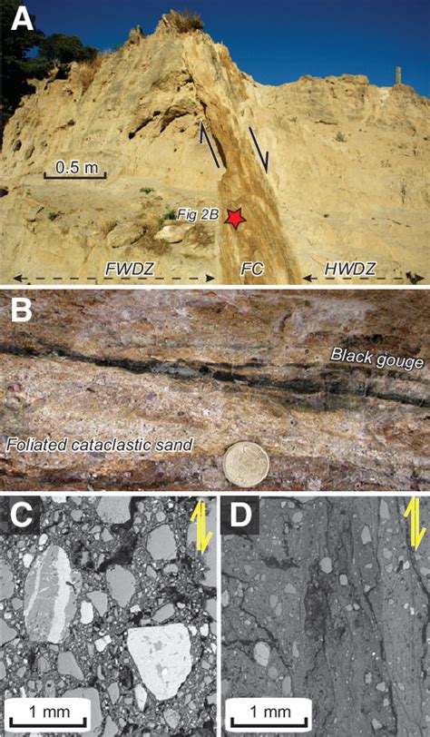 A Structural Domains In Fault Zone With 13 6 M Displacement FCfault Download Scientific