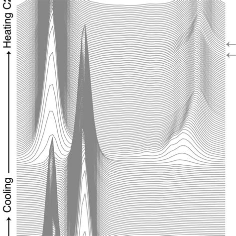Evolution Of Sections Of The Diffraction Pattern During The First