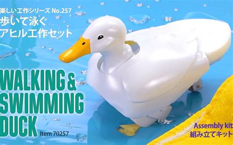 田宫新出的这款鸭子科教模型也太魔性了吧太可爱了 70257 TAMIYAO TAMIYAO 哔哩哔哩视频