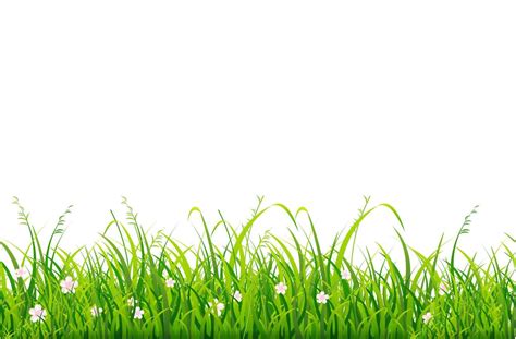 Realistic Detailed 3d Green Grass Line Vector 15936271 Vector Art At Vecteezy