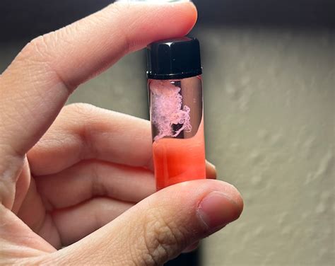 Dna Extraction Sample From Strawberry Etsy