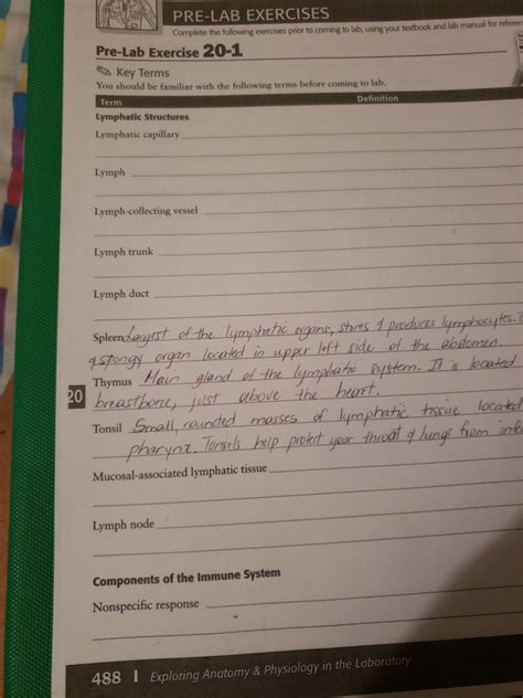 Solved PRE LAB EXERCISES Complete The Following Exercises Chegg