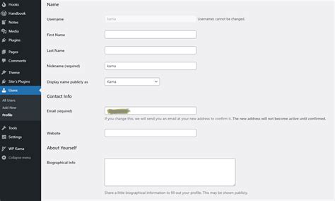 Metadata In Wordpress — Codex → Content Types Entities In Wordpress