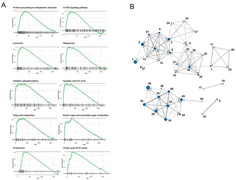 Top 10 Rug Plots Of The Pathways A And Network Functions B