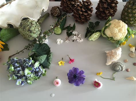 Enquiry Based Maths Finding Fibonacci Numbers In Nature