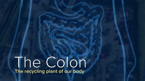 3 Things To Know About Colon Polyps News Yale Medicine