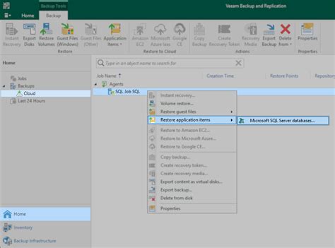Kb2668 How To Do An Application Item Restore Using Standalone Veeam
