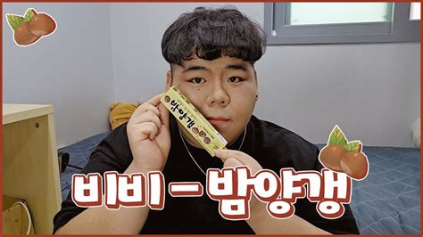 비비 밤양갱 Cover Youtube