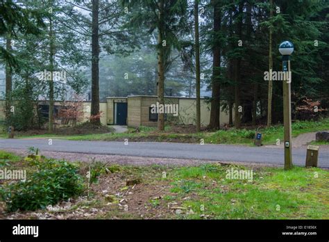Woodland Lodges At Centre Parcs Longleat Forest Wiltshire England