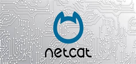 Netcat Nc The Swiss Army Knife Of Networking Tech Hyme