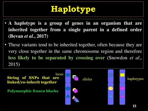 Ppt Haplotype Led Approaches For Increasing Precision In Plant
