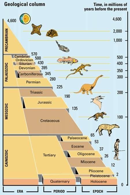 Time Periods And Eras In Planet Earth Geological Time Periods Chart
