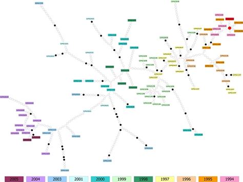network extracted from the statistical parsimony analysis performed in