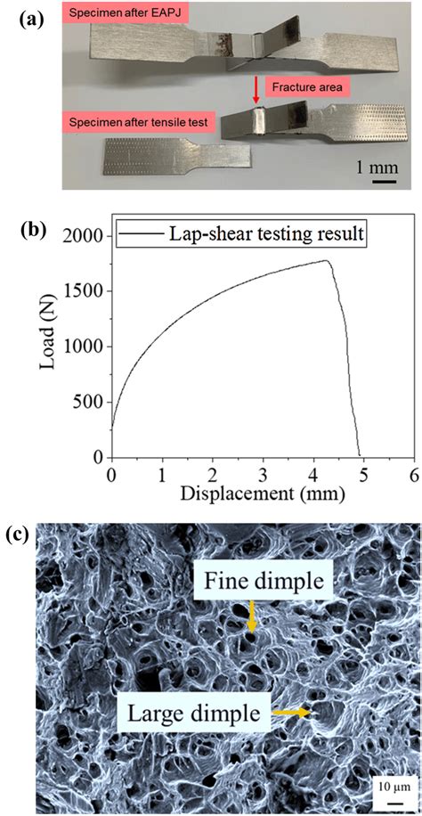 A Eapjed Specimen Before And After Fracture B Lap Shear Testing Download Scientific Diagram