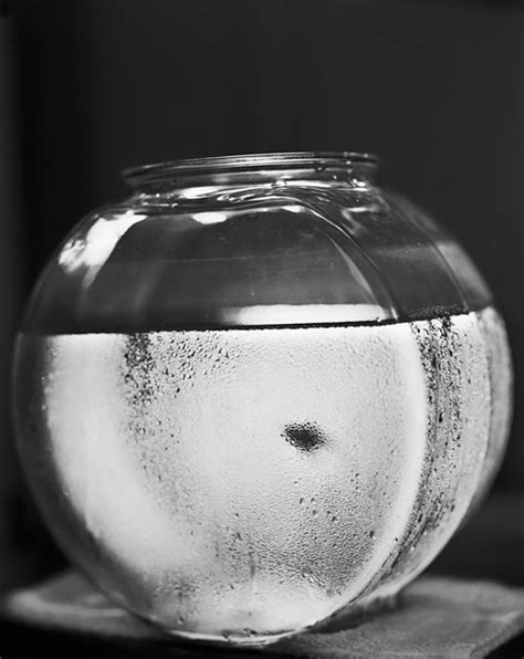 Cheryle St Onge — Fraction Magazine Cheryle St Onge — Fraction Magazine